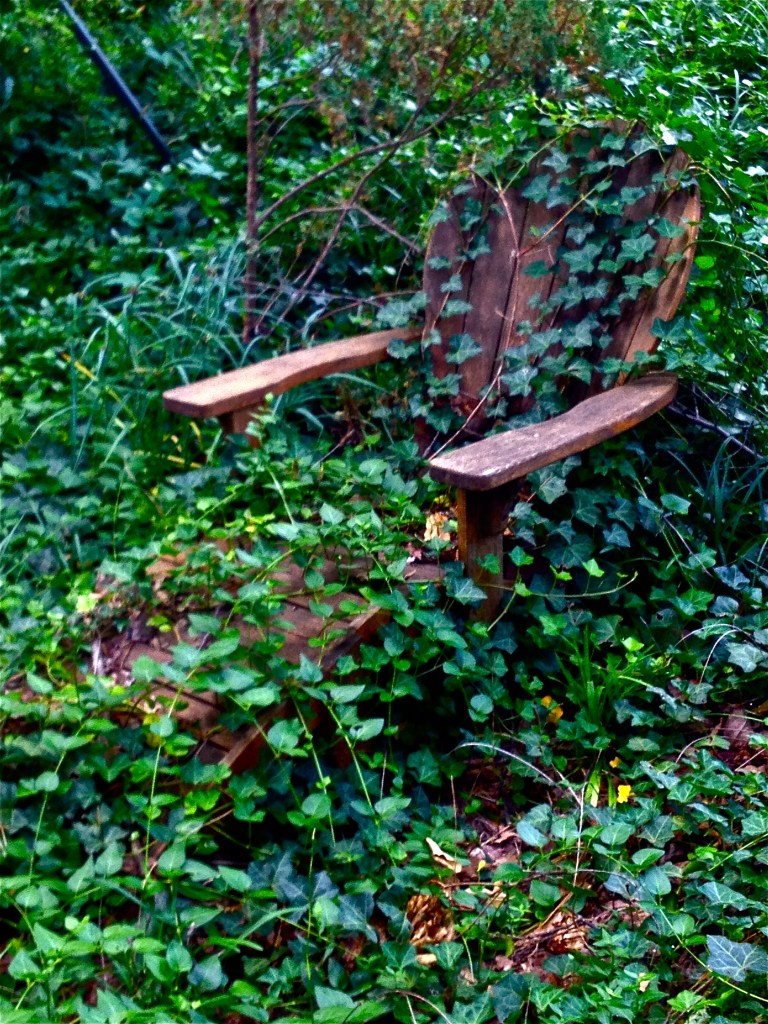 The chair is being reclaimed by nature – 2me4art