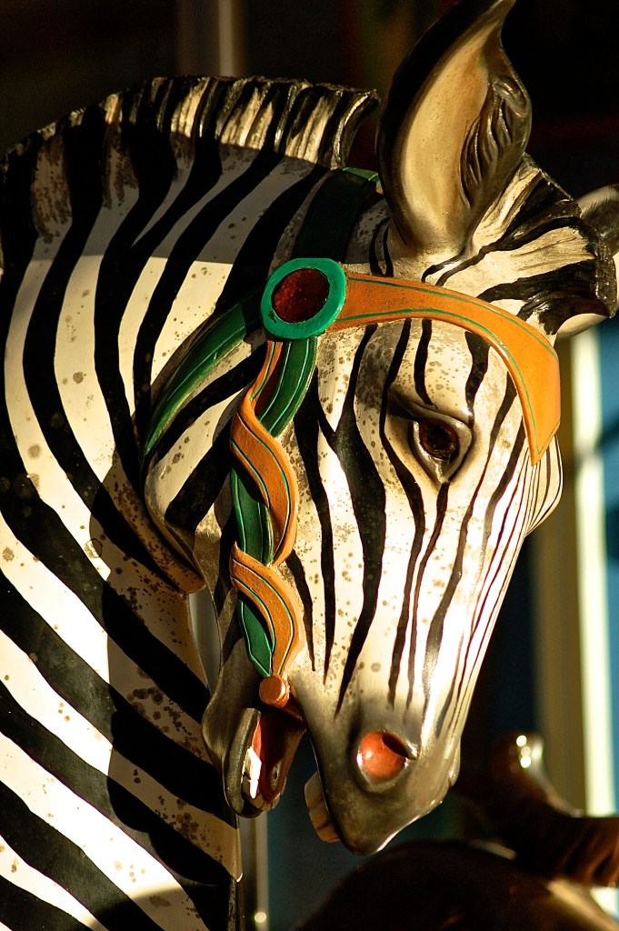 This zebra will spin for the rest of his days – 2me4art