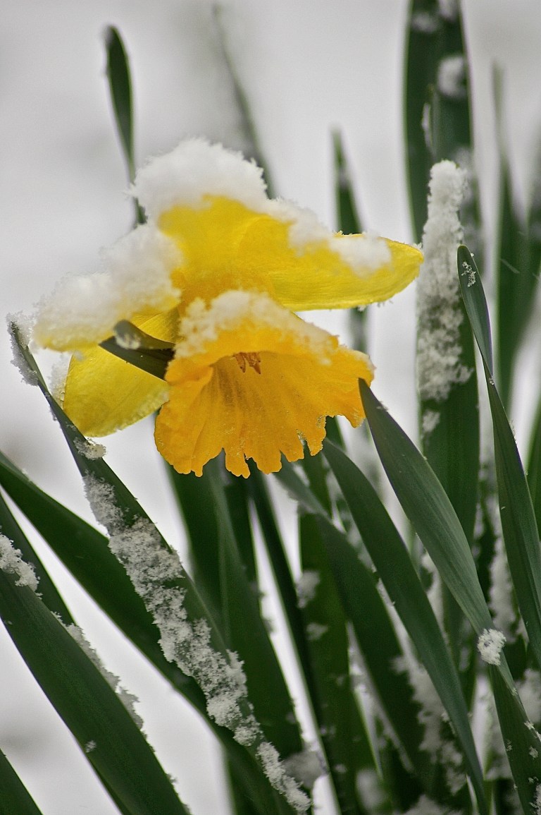 When the season & weather get mixed up – 2me4art