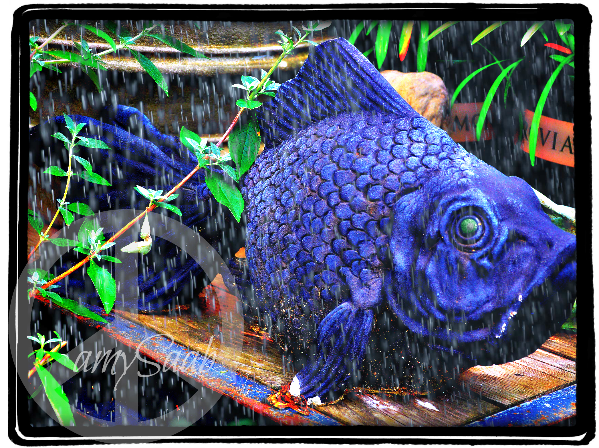 red fish, blue fish, stone fish, wet fish – 2me4art
