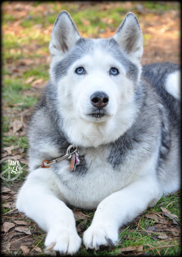 can you see the contempt in her ears? – 2me4art