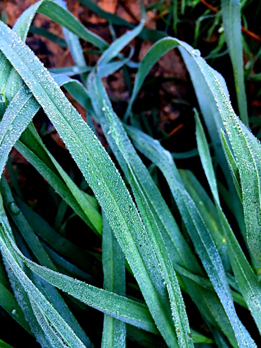 dew & me – 2me4art