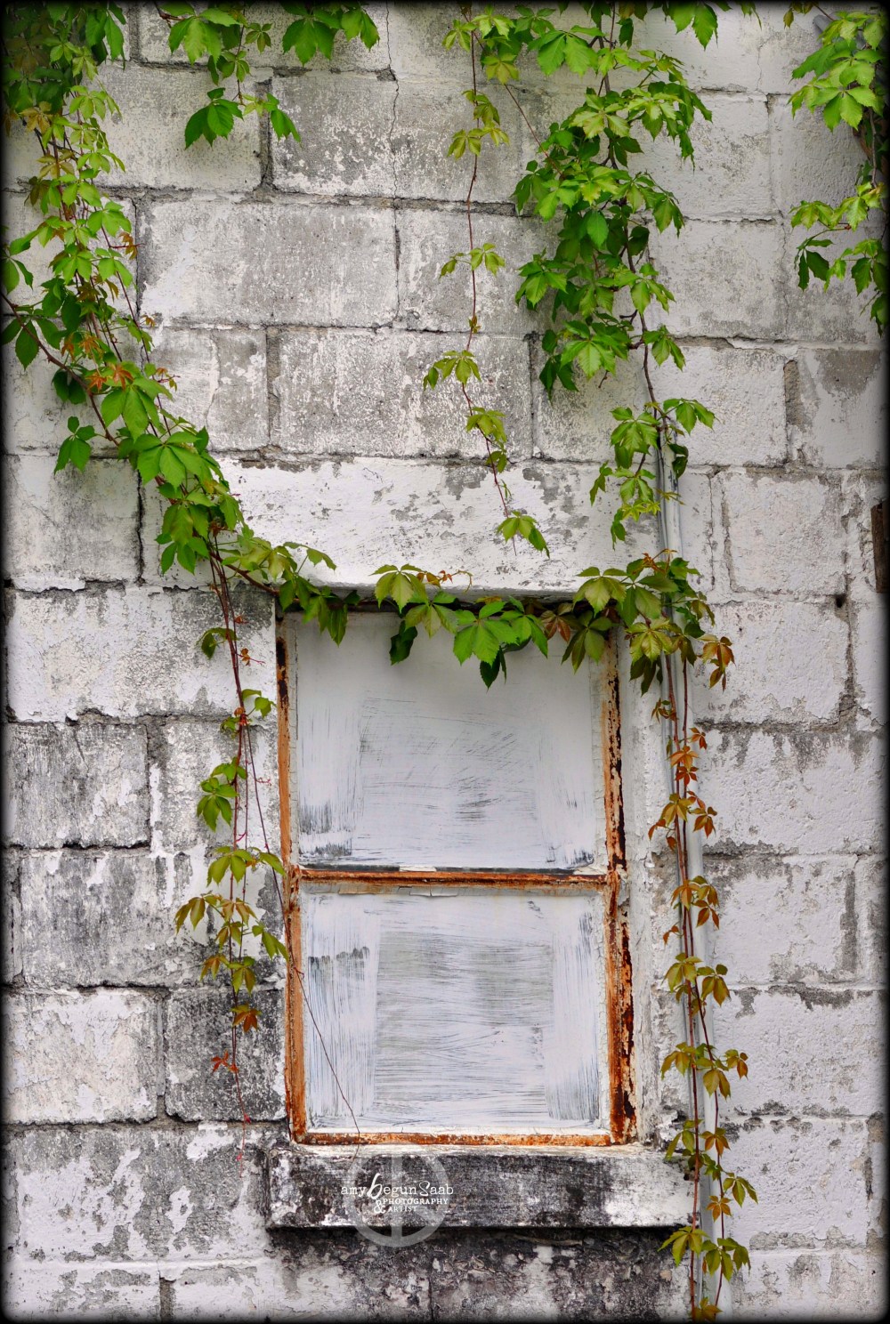 who hunts humans? – 2me4art