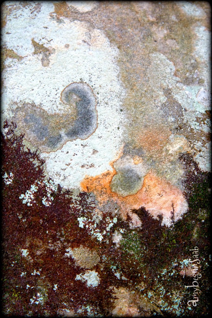 rock art by mother nature – 2me4art